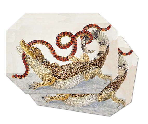 Mary Sibylia Merian Caiman and Snake Placemat Tactile Basket - Etsy