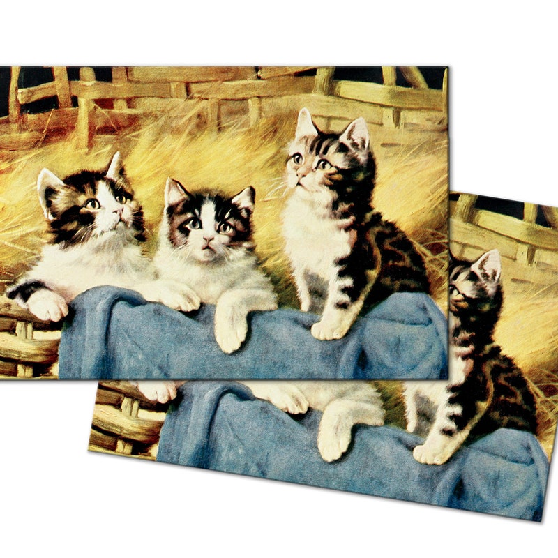 Cat Placemat for Dining Table - Etsy