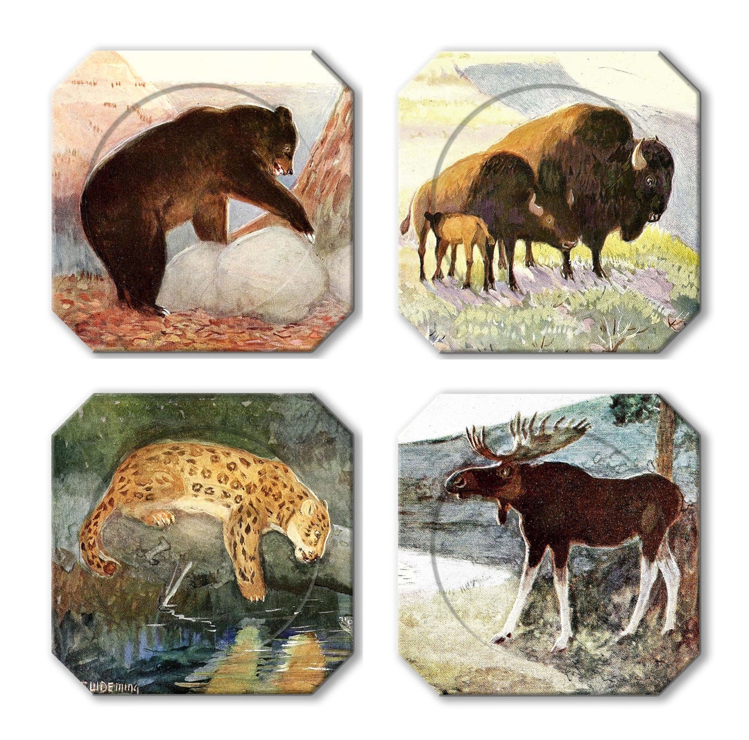 American Wildlife Coasters Functional Recessed Circle Tactile Basket ...