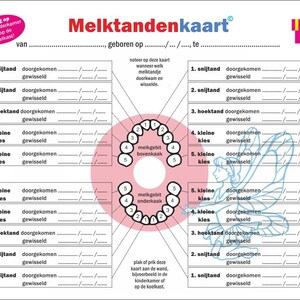 Download Printable Milk Tooth Chart in English, German and Dutch - Etsy