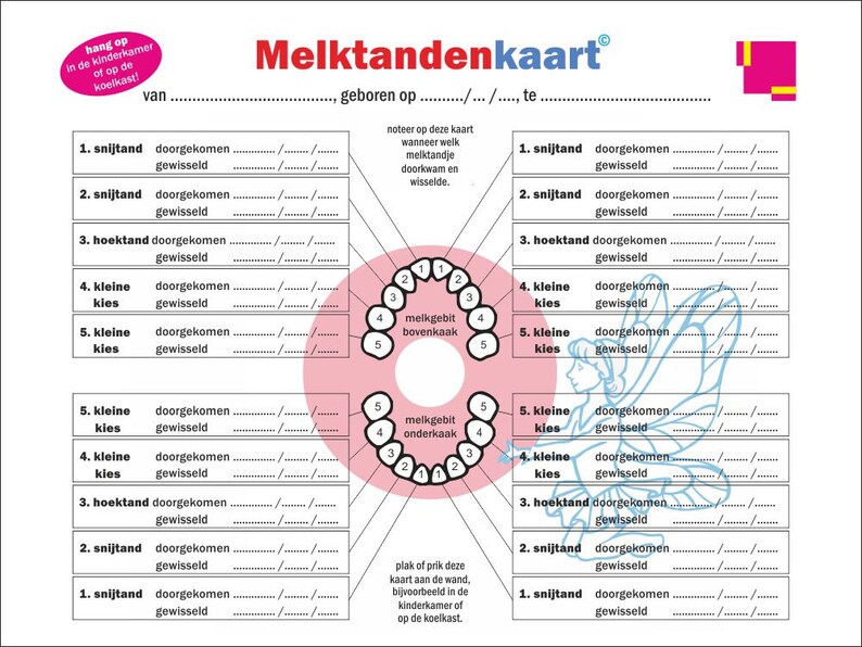 Download Printable Milk Tooth Chart in English, German and Dutch - Etsy
