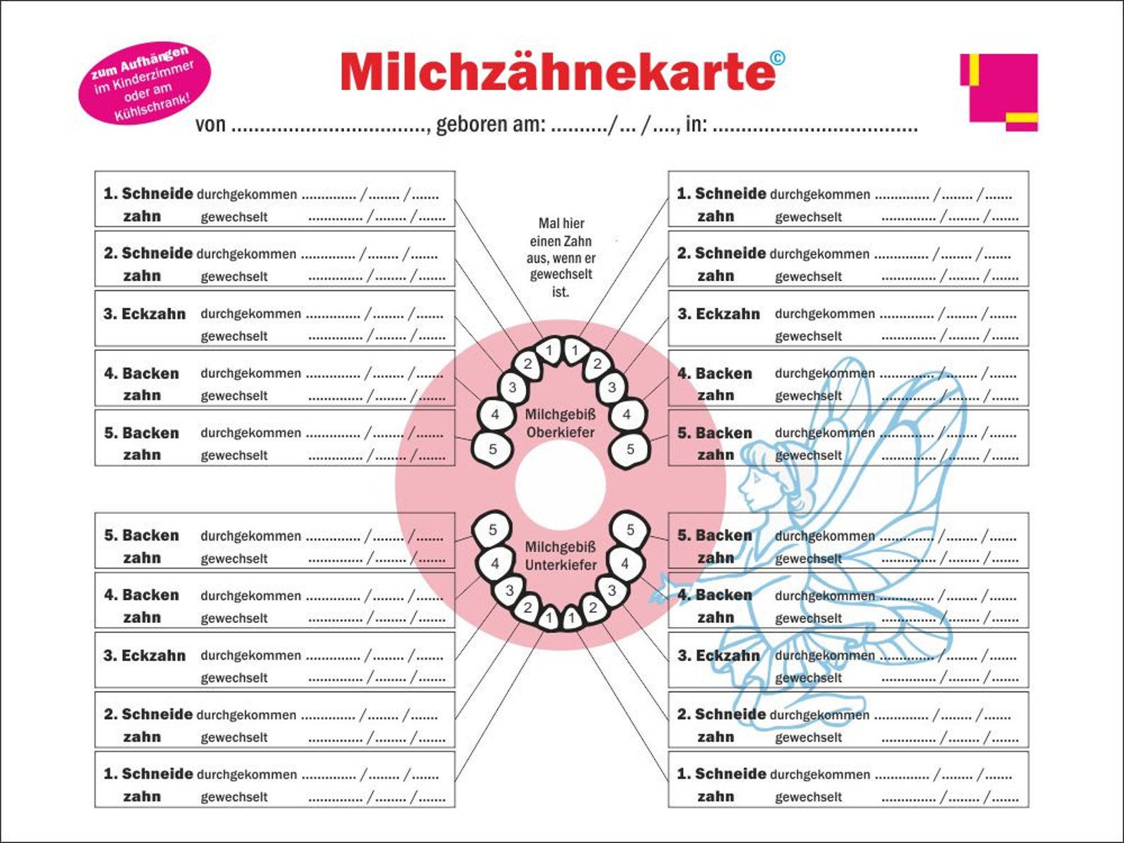 Download Printable Milk Tooth Chart in English, German and Dutch - Etsy