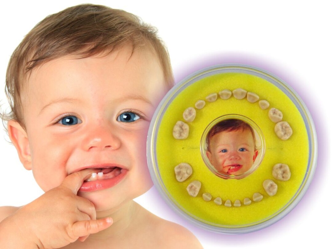 First Tooth Box >firsty Round