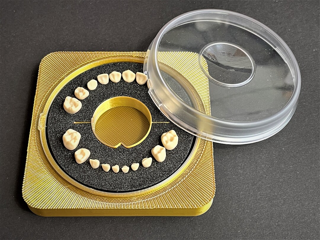 Tooth Box Photoframe Firsty Square Color: Gold/silver Including ...