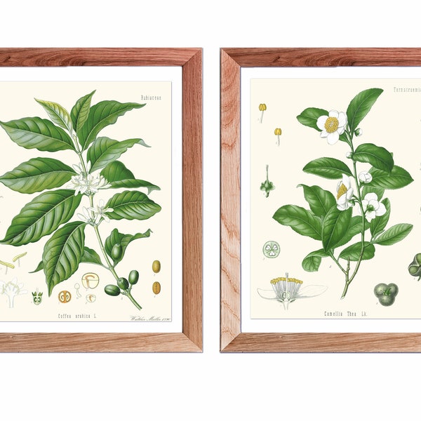 Coffee and Tea Art - Etsy