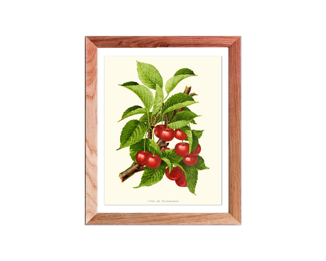 Cherry Wall Art, Cherries Print, Kitchen Wall Art, Cherries Wall Art ...