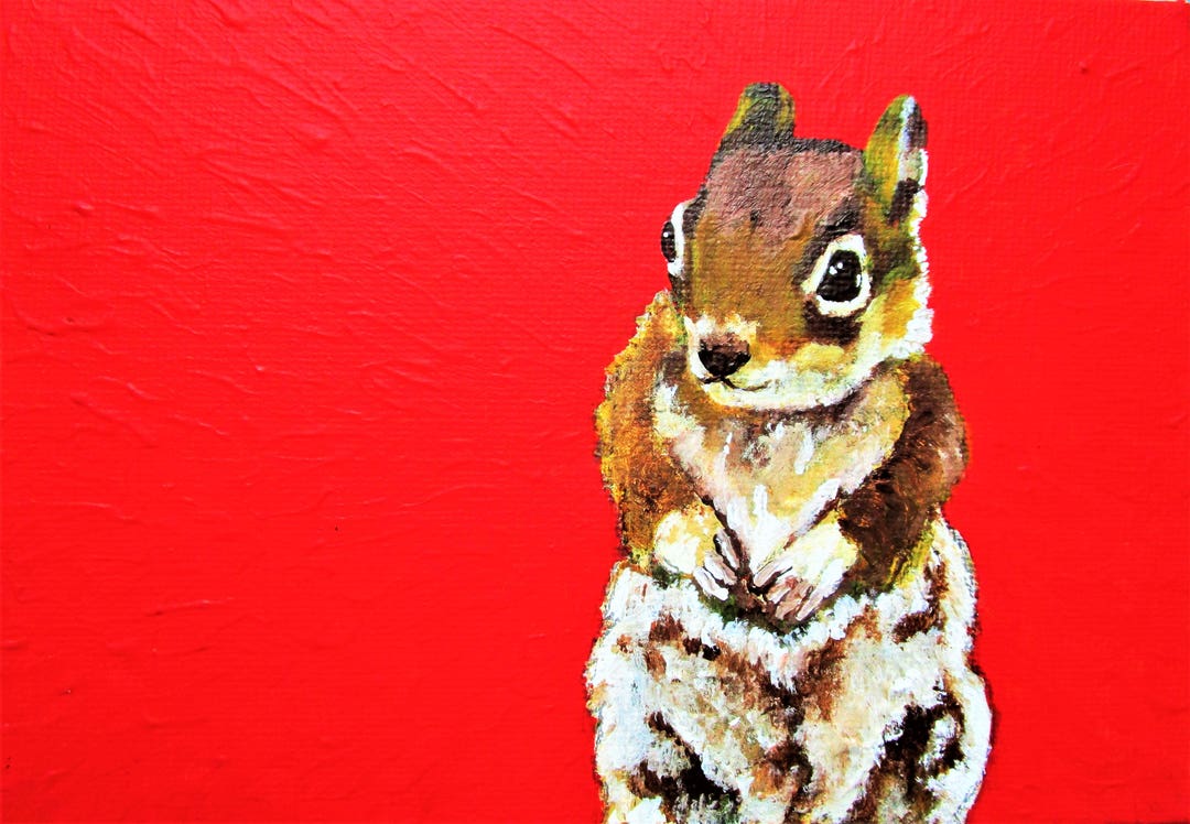 Chipmunk on a Burst of Red (ORIGINAL DIGITAL DOWNLOAD) by Mike Kraus - Etsy