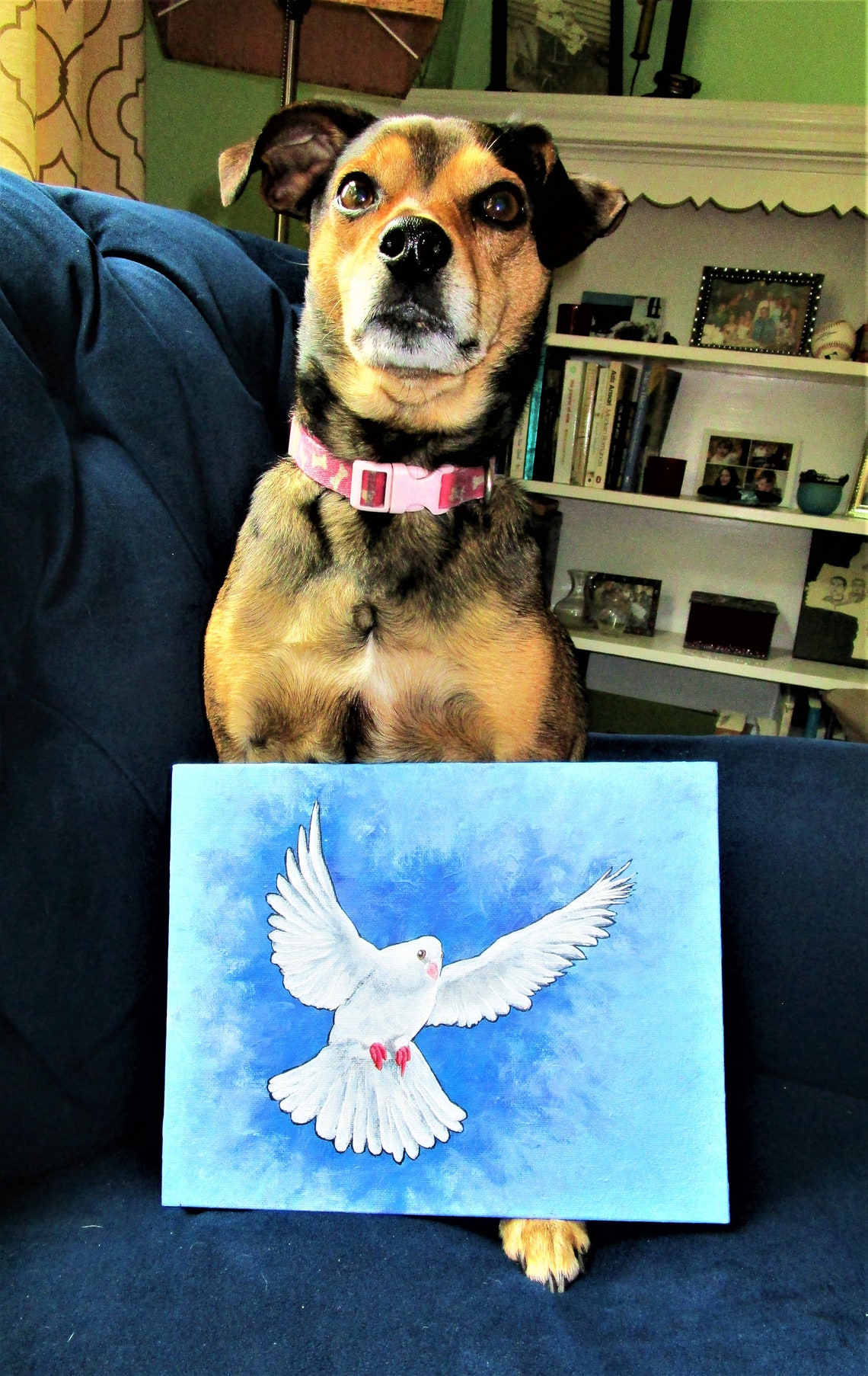 Dove ORIGINAL ACRYLIC PAINTING 8 X 10 by Mike | Etsy