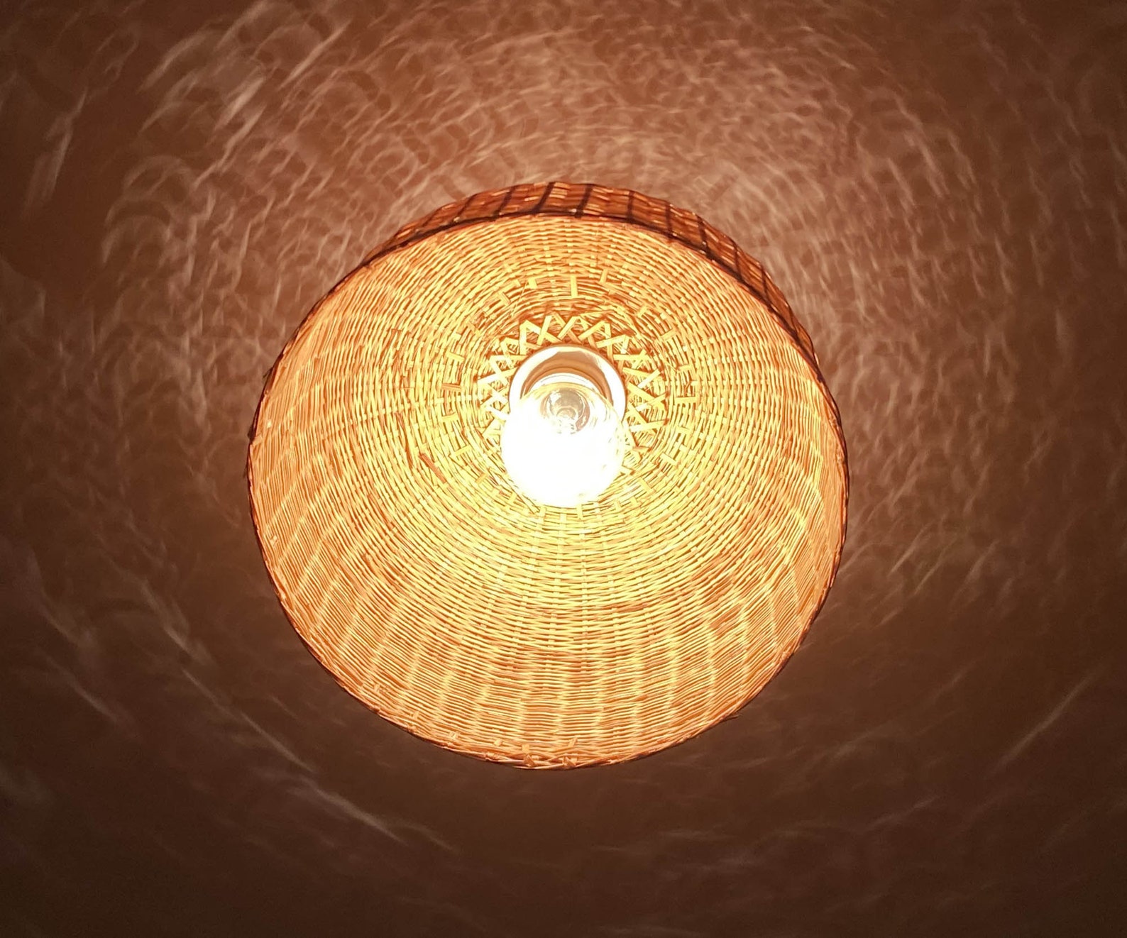 Handwoven Bamboo Flush Mount Ceiling Light: Boho Lampshade (W9.8'' by ...