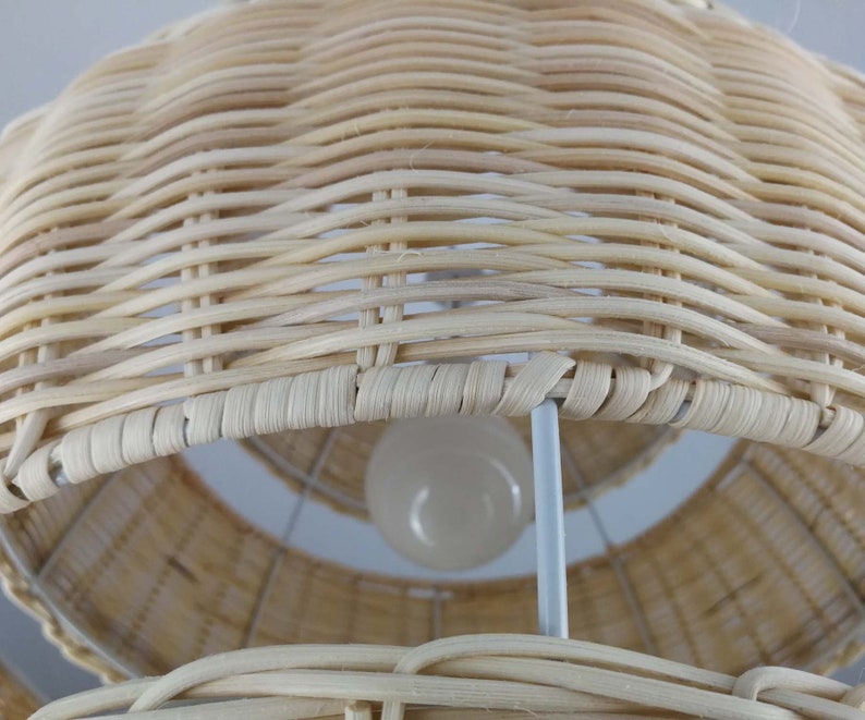 Viwei NEW Creative Elliptical Shape Pendant Light - Rattan Pendant ...