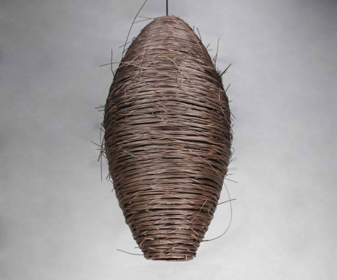 Dark Brown Cocoon Shaped Rattan Pendant Lights-wild Style Lighting ...