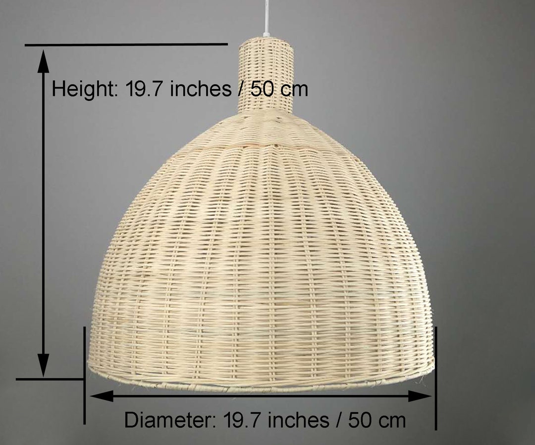 Loudspeaker-shaped Ceiling Lighting Fixture, Rustic Ceiling Lamp ...
