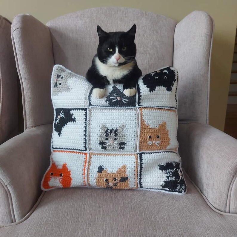 Crochet Cat Pillow Pattern, Crochet Pillow Pattern, Crochet Cat Pattern ...