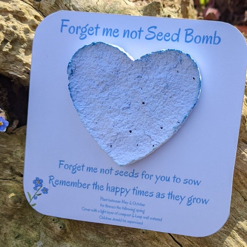 Forget Me Not Seed Bomb | Etsy UK