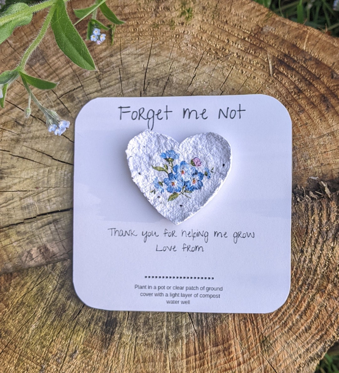 Teachers Gift/nursery Staff Gift/end of Term Gift/ Forget Me Not Gift ...