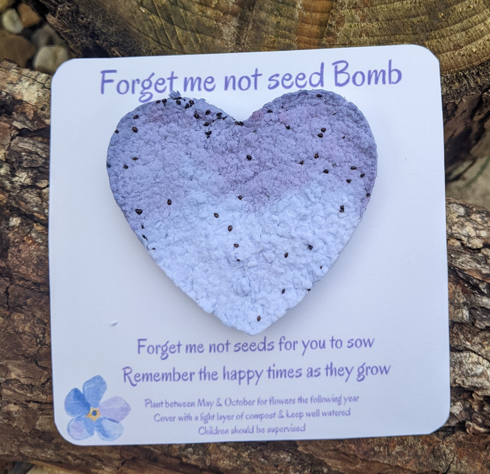 Forget Me Not Seed Bomb - Etsy UK