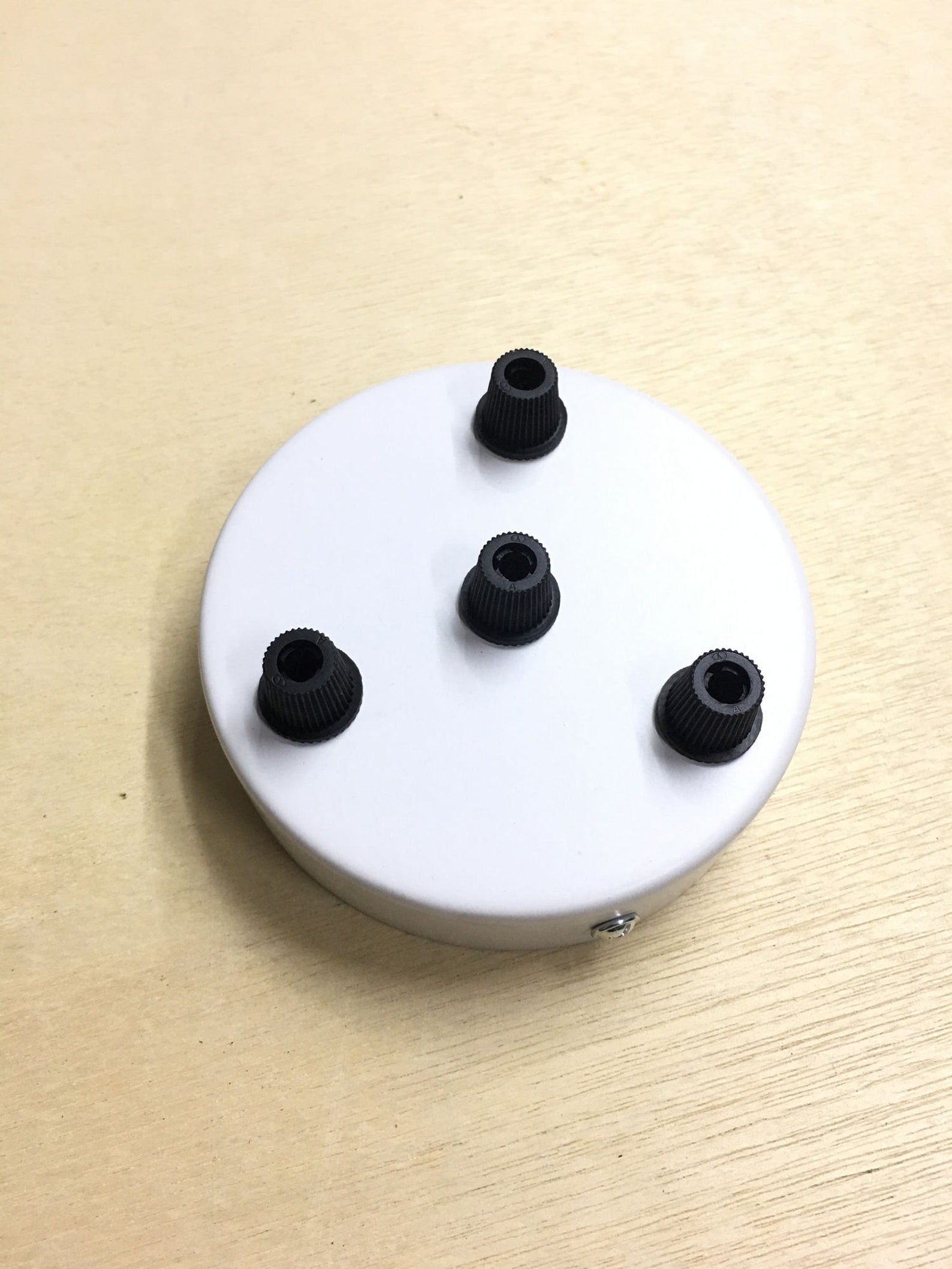 White Ceiling Rose Point Drop Outlet for Ceiling Lights &chandeliers ...