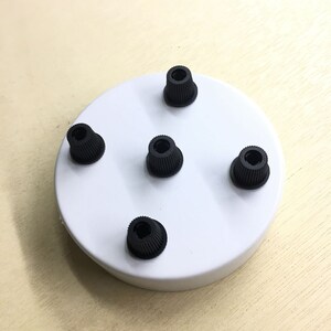 White Ceiling Rose Point Drop Outlet for Ceiling Lights &chandeliers ...