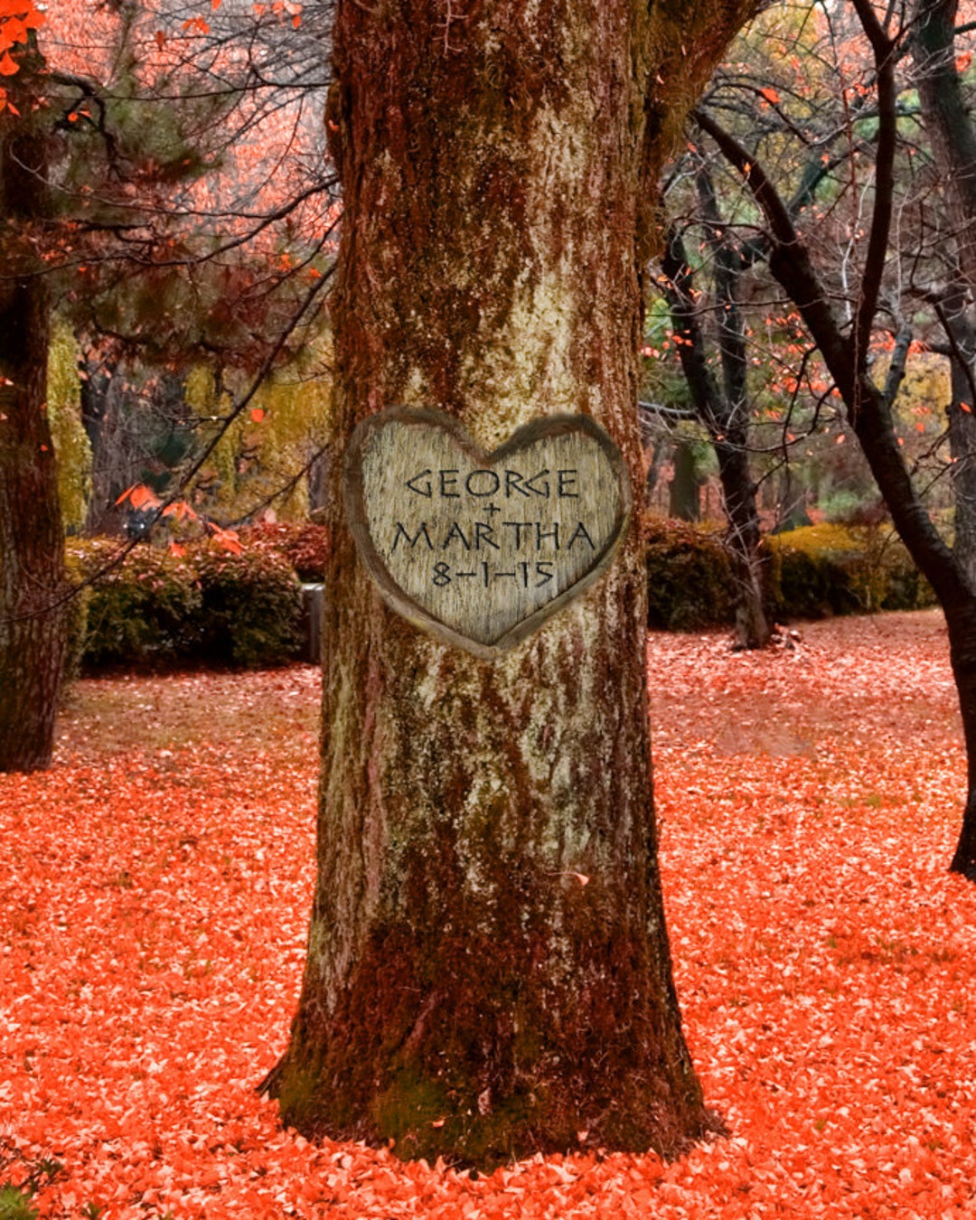 Personalized Wedding Gift - Carved Heart on Tree - Autumn Leaves in ...