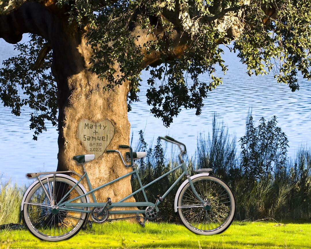 Personalized Wedding Gift, Bicycle Photo, Carved Heart on Tree ...