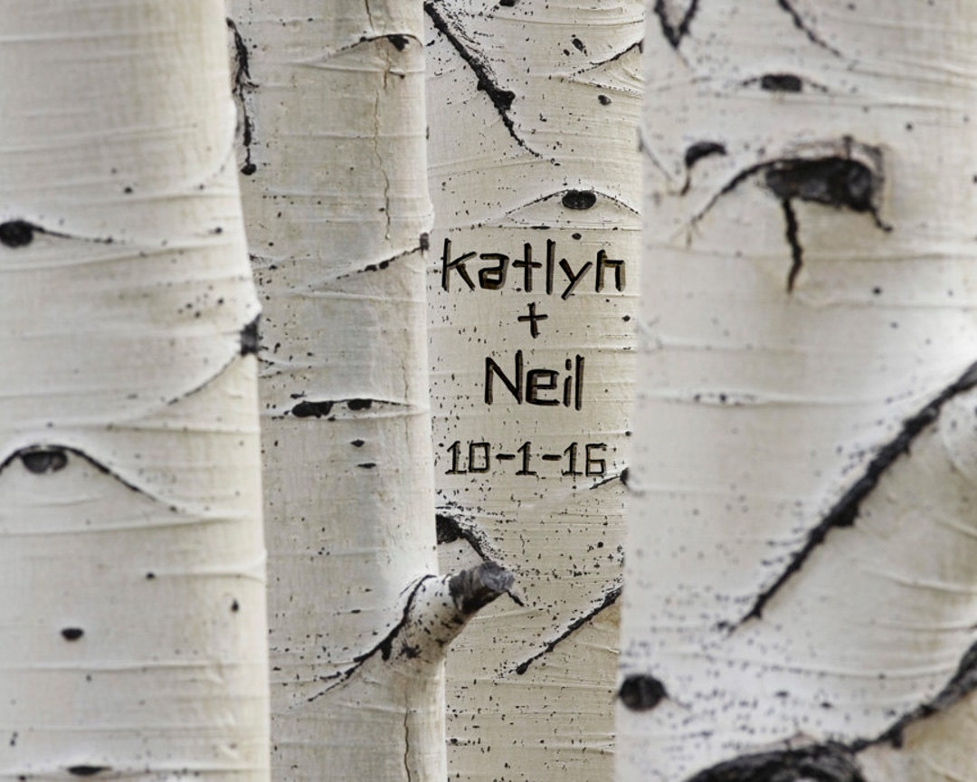 Carved Tree Trunk Photo Personalized Wedding Gift Aspen Trees White ...