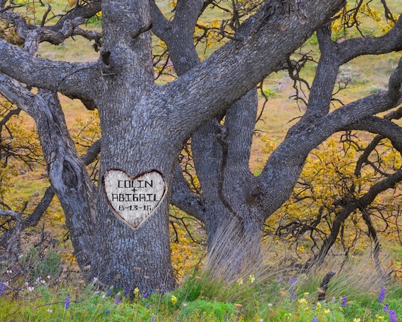 Carved Heart on Tree Personalized Wedding Gift Oak Tree | Etsy