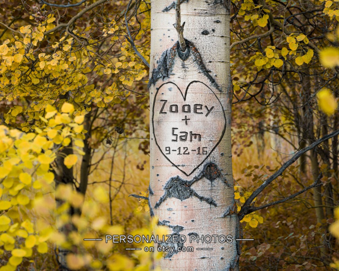 Tree Photograph Wedding Gift, Photo Heart Carved in Tree Unique Wedding ...