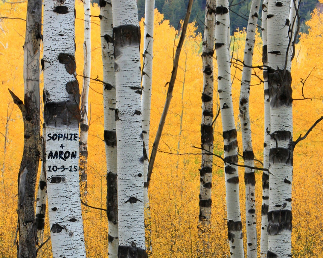 Carved Tree Trunk Personalized Wedding Gift Aspen Trees Autumn Fall ...