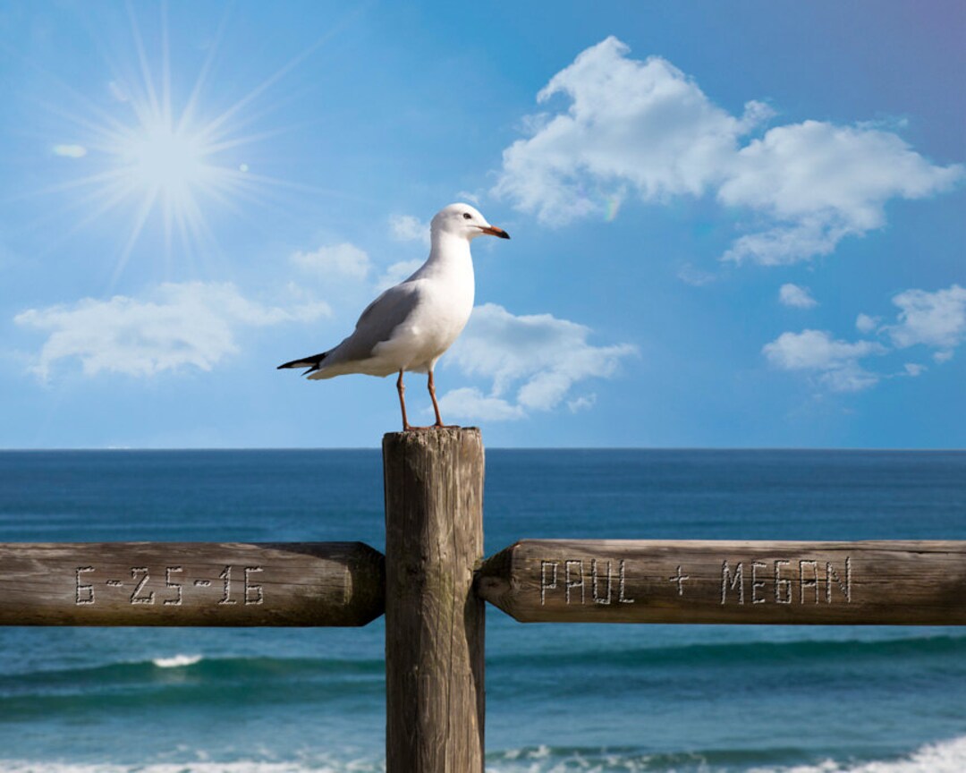 Personalized Wedding Gift - Romantic Beach Decor - Seagull - Carved ...