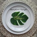 Tropical Palm Leaf Name Tags Handwritten Monstera Names With Hole Punch ...