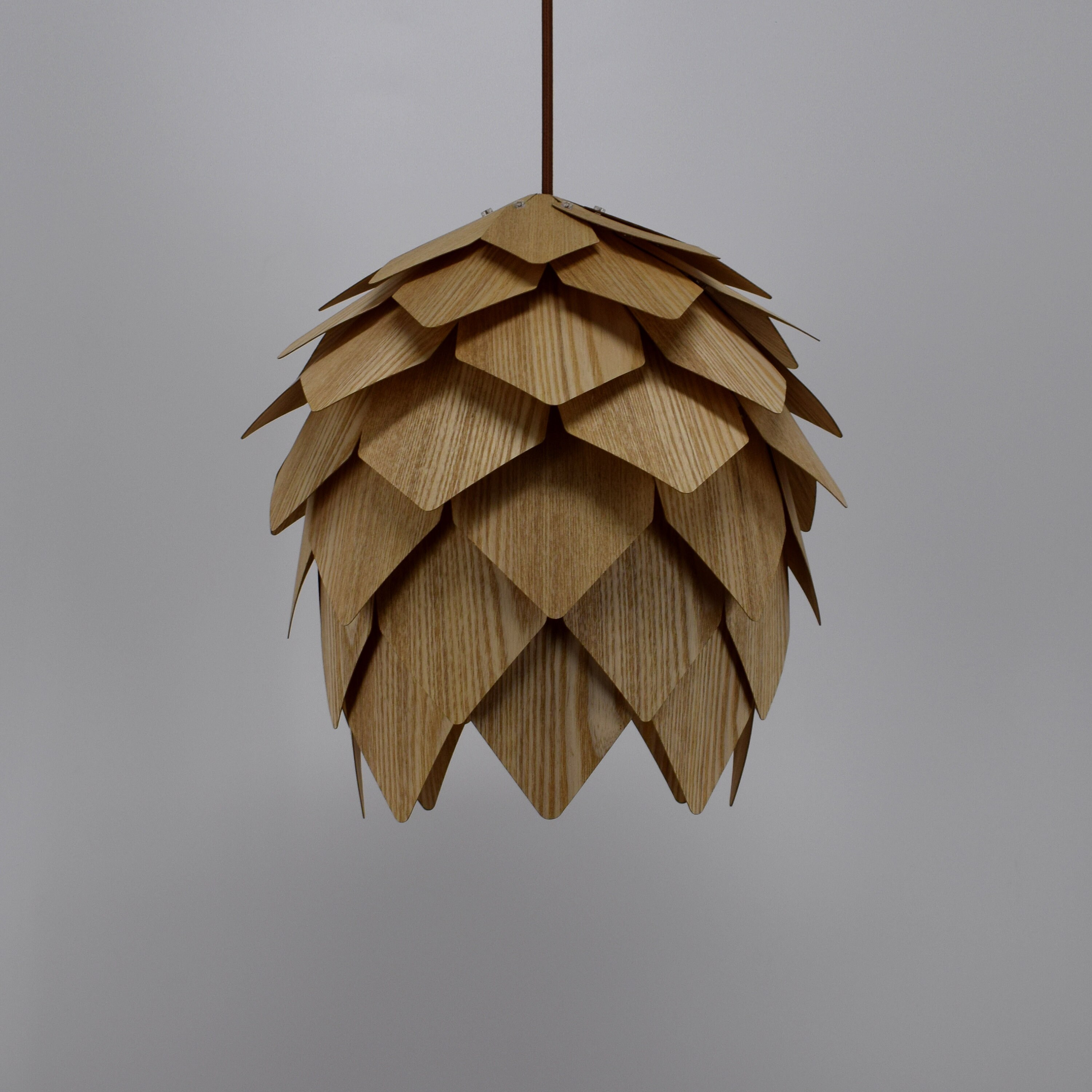 Set of Two Mini Pine Cone Pendant Light-Hanging | Etsy