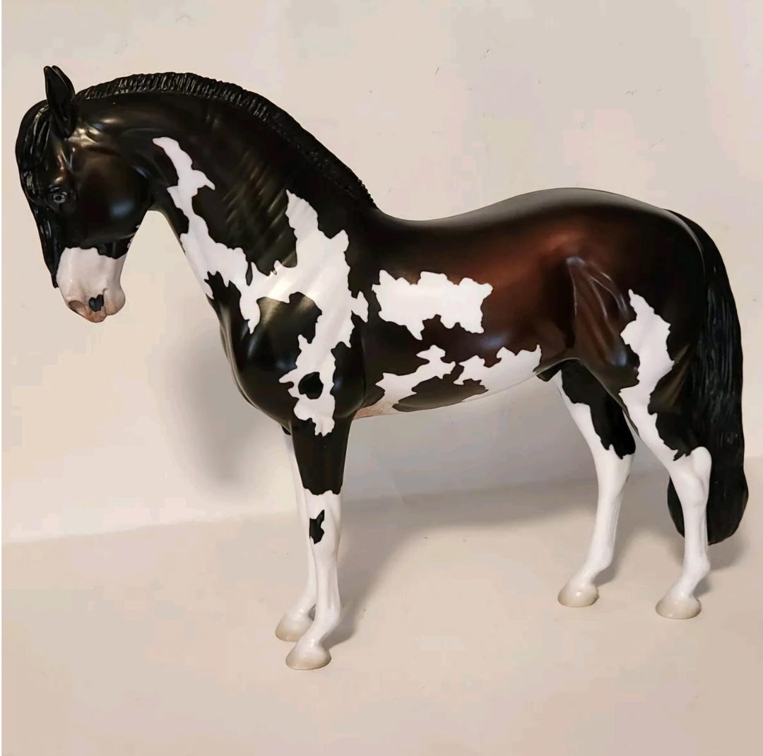 Peter Stone Loyalty 23/24 Andalusian Bay Criollo Model Jess Hamill 1 of 56 Horse - Etsy