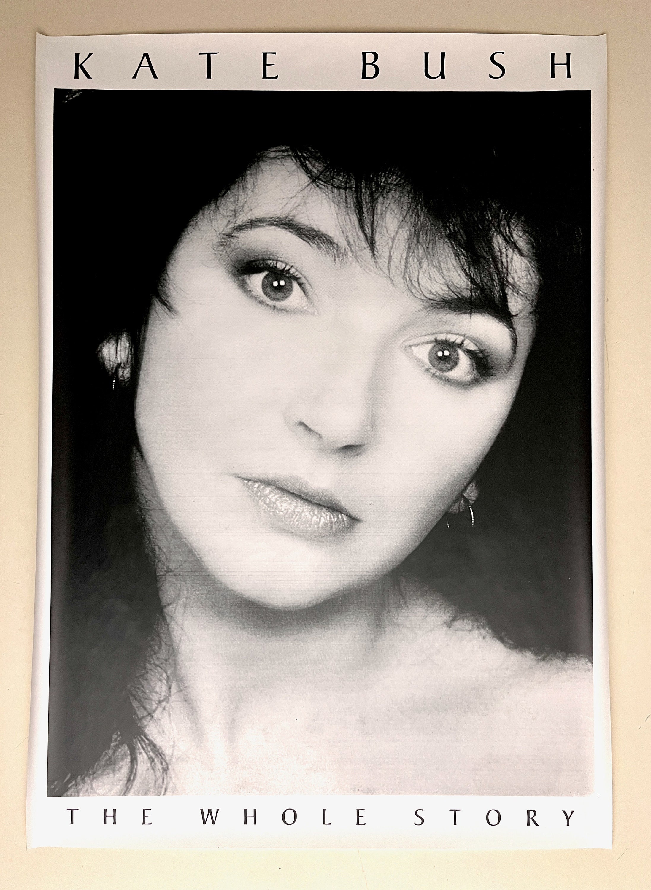 Kate BUSH Art Poster the Whole Story Vintage Original - Etsy