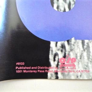 DIVINYLS * Poster * Divinyls (album Release) * OSP #8133 * Vintage ...