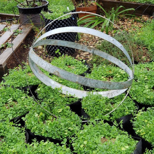 Barrel Hoops - Etsy