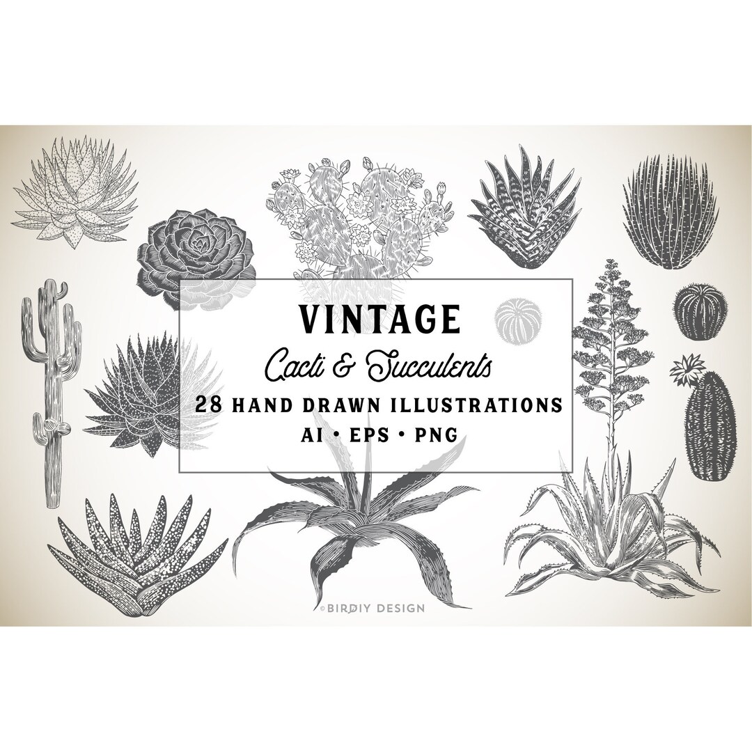 Succulent Clipart Cactus Clip Art Desert Clipart Vintage - Etsy Canada