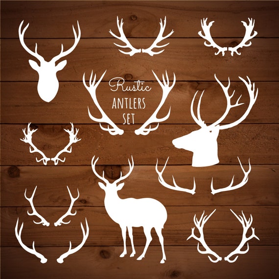 Rustic Clipart Antlers Boho Woodland Clipart Rustic | Etsy