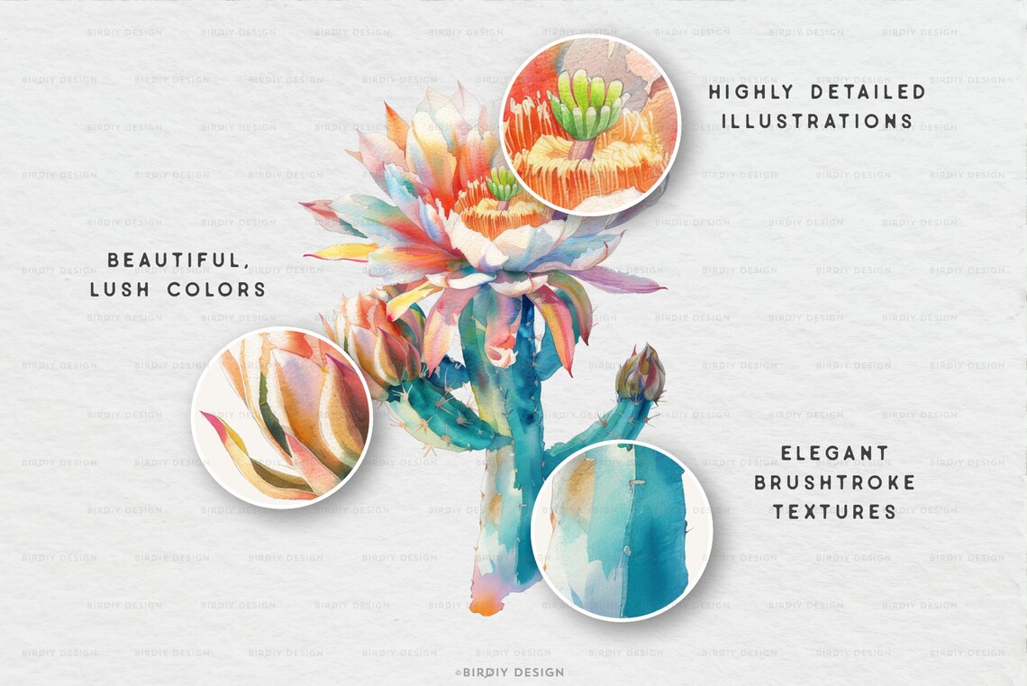 Watercolor Cactus Clipart Set - Watercolor Floral Clipart - Watercolor ...
