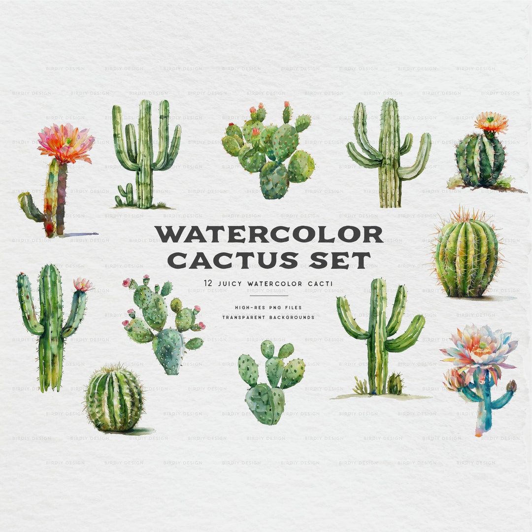 Watercolor Cactus Clipart Set - Watercolor Floral Clipart - Watercolor ...