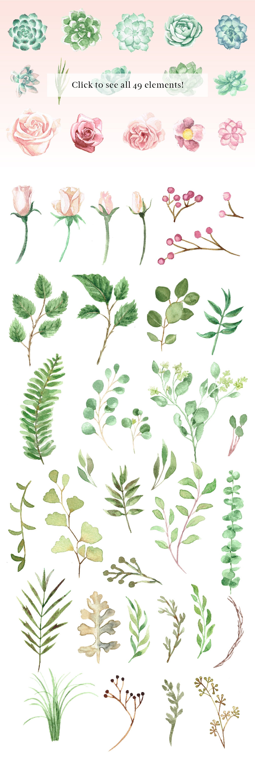 Watercolor Rose Clipart Set - Watercolor Flower Clipart - Watercolor ...