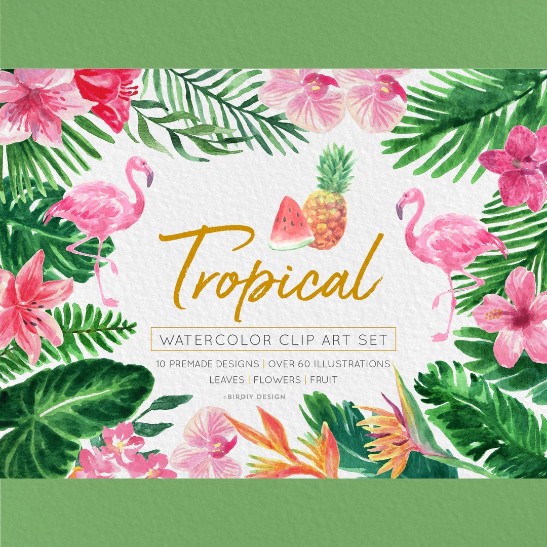 Tropical Leaf Watercolor Clipart, Summer Clipart, Jungle Clipart ...