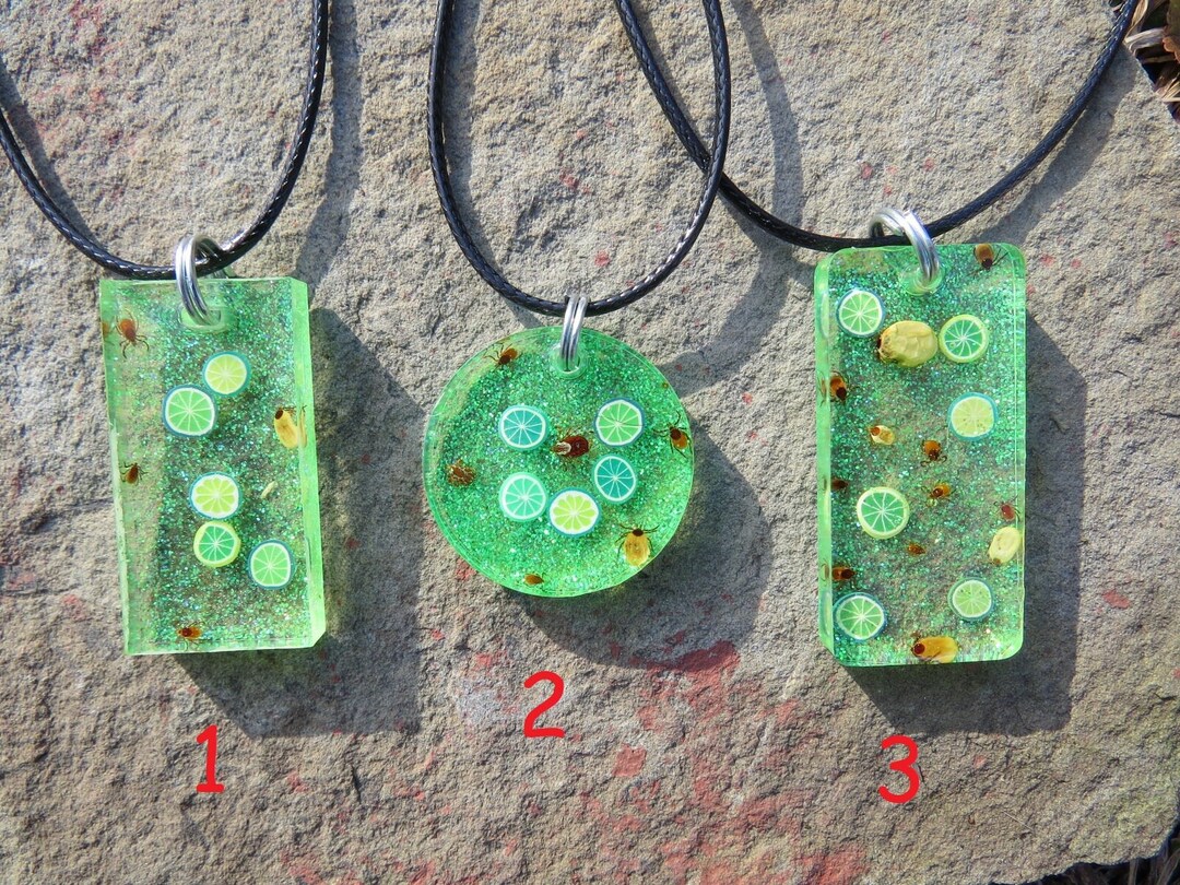 Real Taxidermy Ticks Insects in Resin Necklace Charm - Etsy