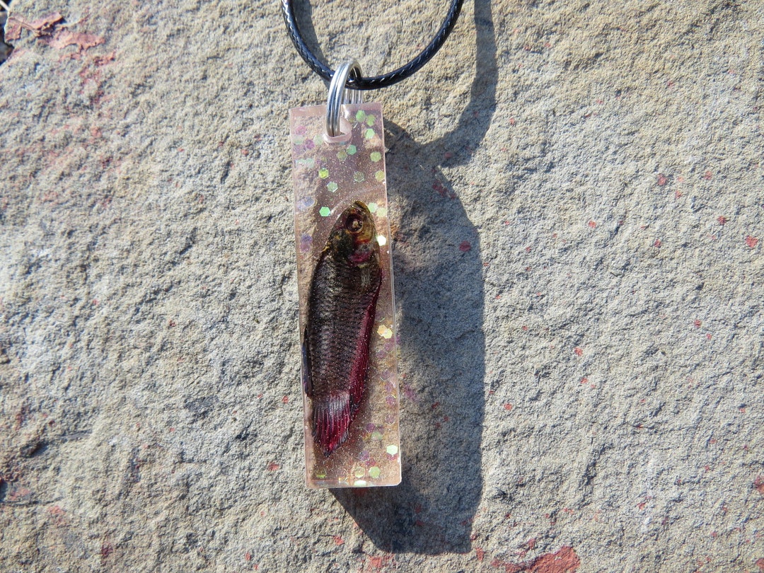 Real Taxidermy Betta Rubra Fish in Resin Necklace Charm - Etsy