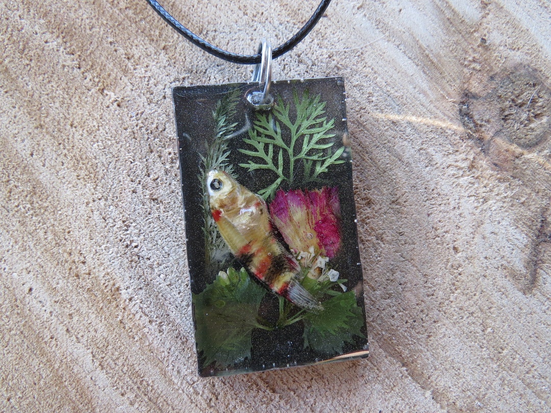 Real Taxidermy Betta Fish in Resin Necklace Charm - Etsy