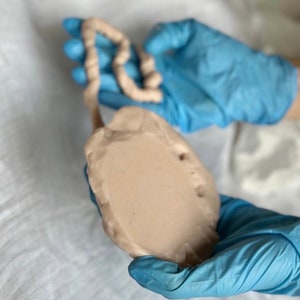 BIG Silicone Birthing Sculpture Placenta With Umbilical Cord by ...