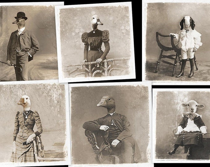 RETRO ANIMALS a Set of 6 Mini Sheets. Rice Paper for - Etsy