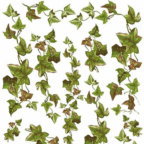 Ivy - Etsy