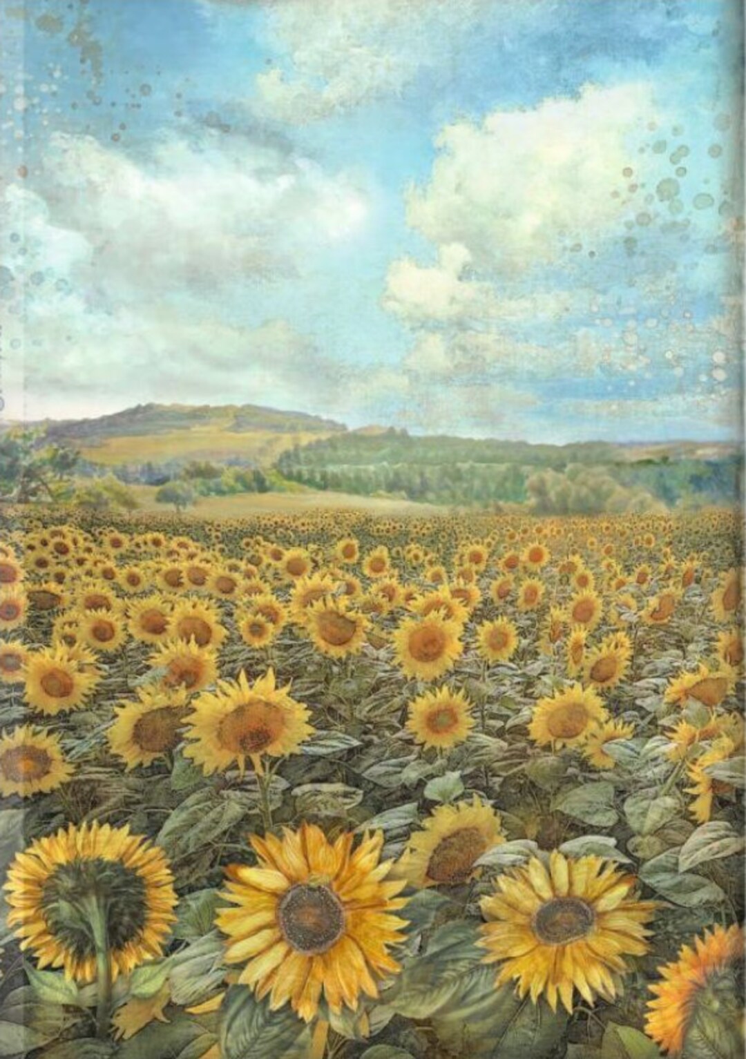 Rice Paper for Decoupage Sunflowers dfsa4770 - Etsy