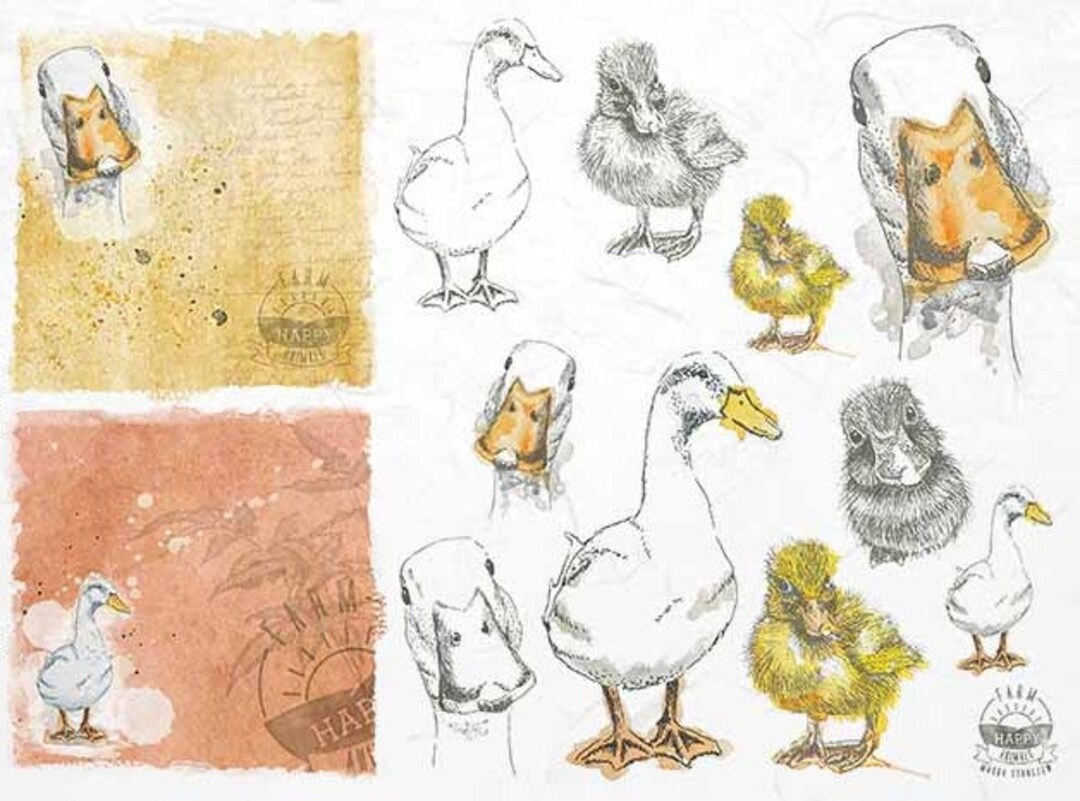 Decoupage Rice Paper FARM R1574 - Etsy