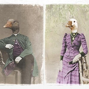 Decoupage Rice Paper GEESE IN COSTUMES R1822 - Etsy